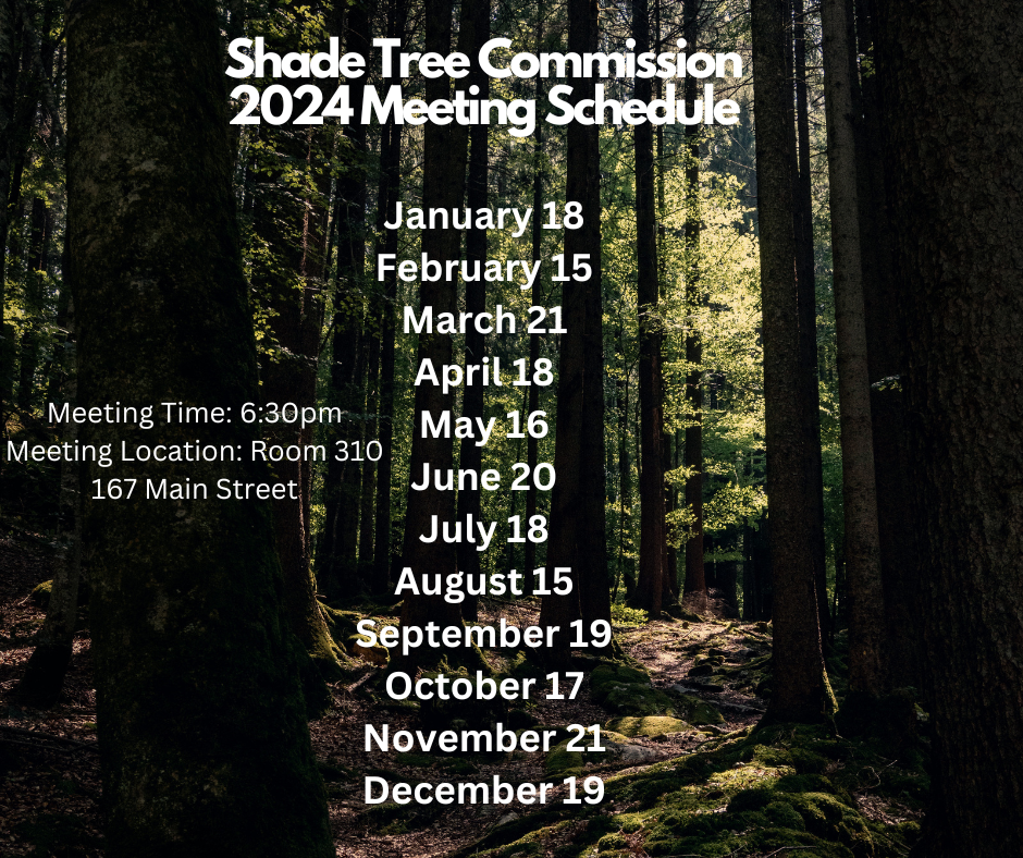 Shade Tree Commission - Borough of Sayreville